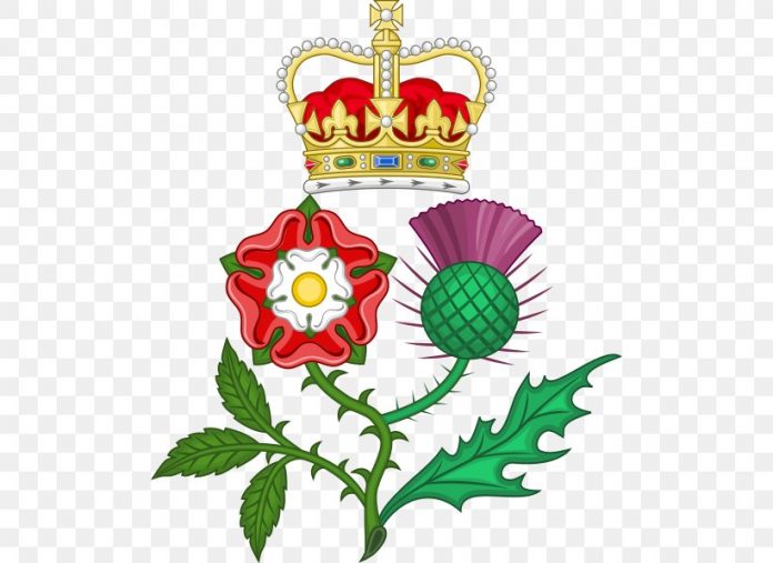 The Flower of Scotland- Brief History & Key Facts - Museum Facts