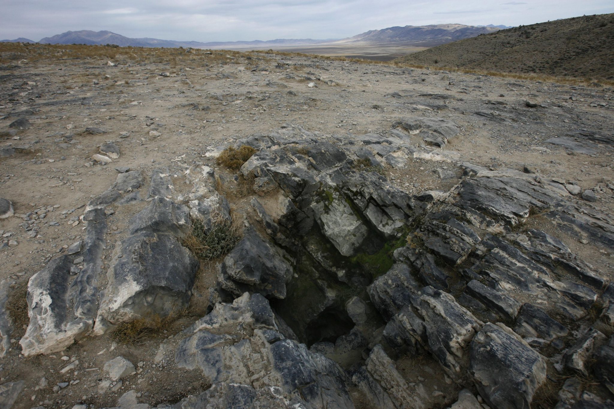 Nutty Putty Cave- John Edward Jones And His Tragic Descent - Museum Facts
